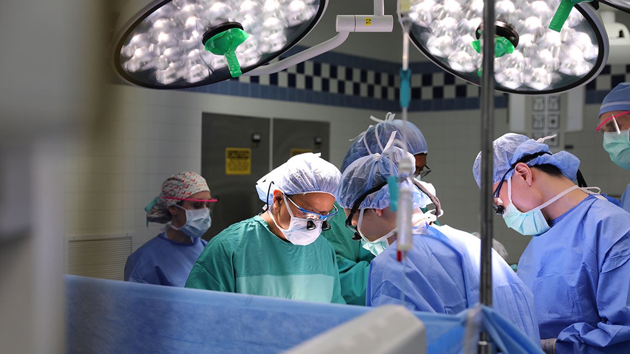 Diagnosing Disease from Tiny Evidence: Pathology Behind the Scenes