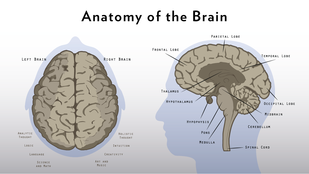 Understanding Skull Base Conditions