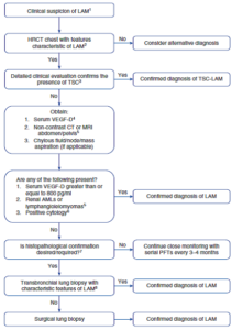 Pulmonary Insights | University of Cincinnati Faculty Lead Development ...